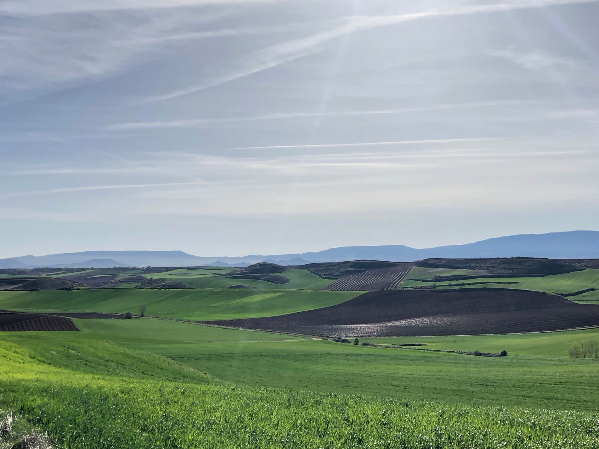 Camino III: Green Fields Forever | The Book of Barnabas