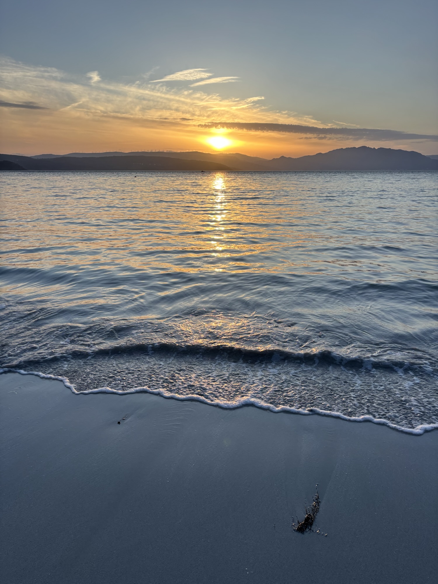 The Shell Thief | The Book of Barnabas