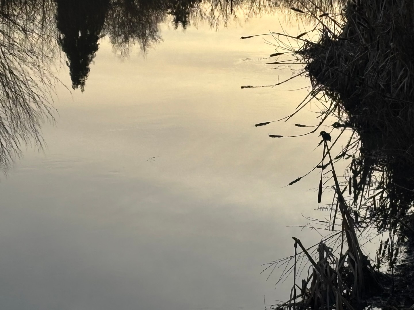 Punt | The Book of Barnabas